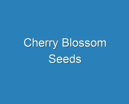 20+ Best Cherry Blossom Seeds 2023 - Reviews
