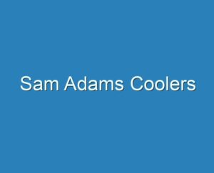 20+ Best Sam Adams Coolers 2023 - Reviews