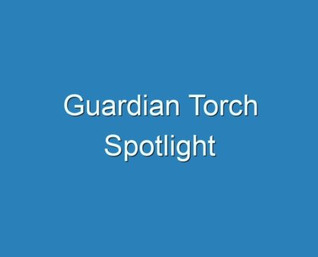 20+ Best Guardian Torch Spotlight 2023 - Reviews